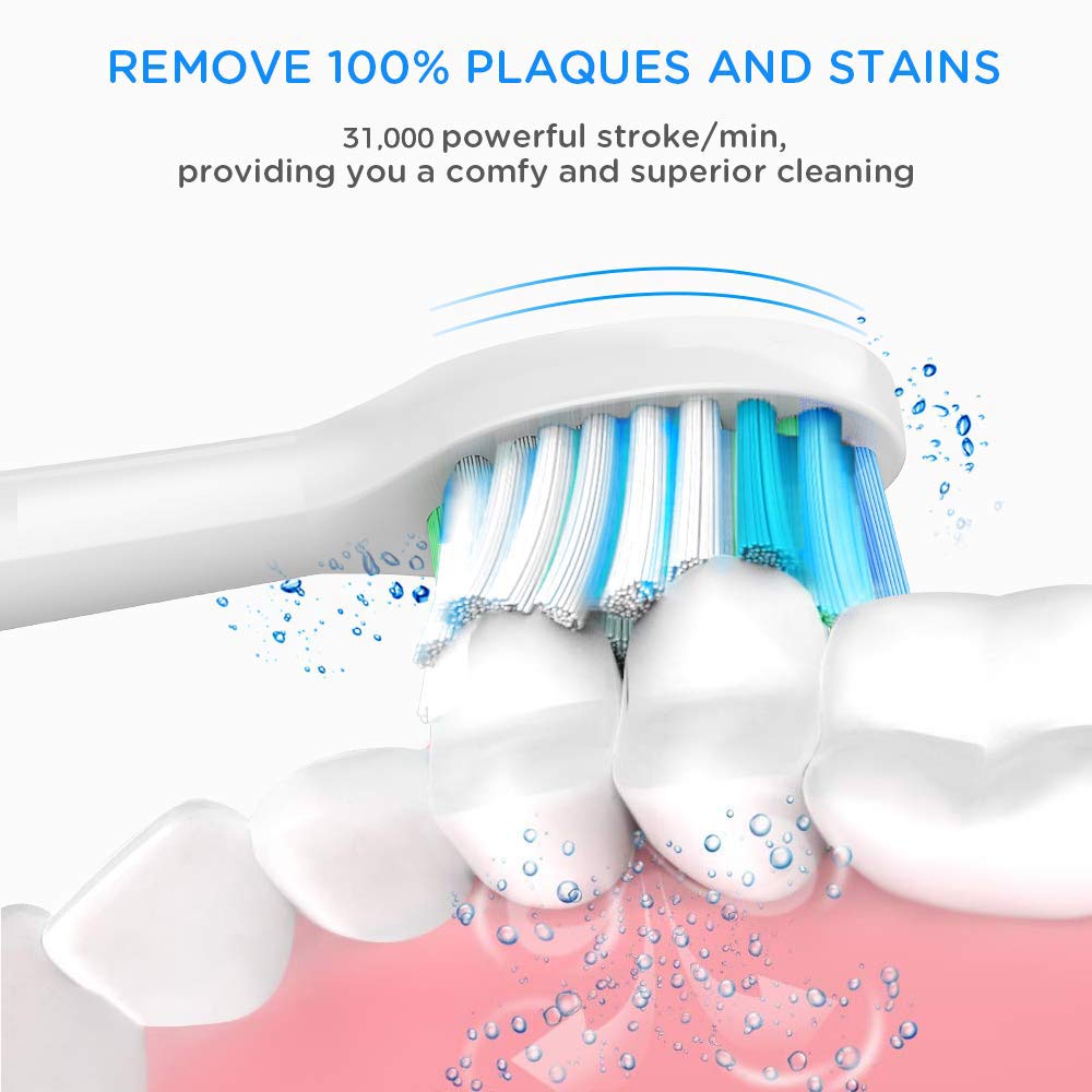 Omidom Sonic Electric Toothbrush, Travel Rechargeable Toothbrush for A ...